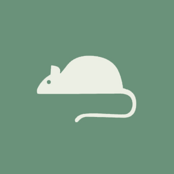 Services - TriGuard Pest Control