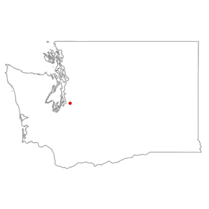 #1 Professional Renton Pest Control - TriGuard's Services